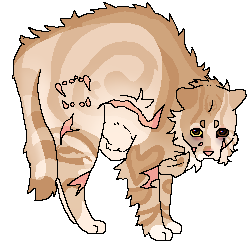 Bachraty Morfeusz | OC Wojownicy Wiki | Fandom