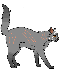 Wilk | OC Wojownicy Wiki | Fandom