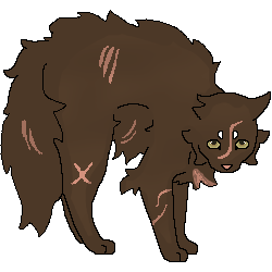 Krzaczasty Syk | OC Wojownicy Wiki | Fandom