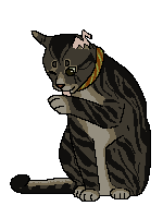 Fryc | OC Wojownicy Wiki | Fandom