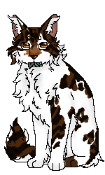 Trzmieli Puch | OC Wojownicy Wiki | Fandom