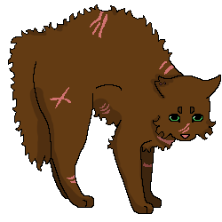 Krzaczasty Syk | OC Wojownicy Wiki | Fandom