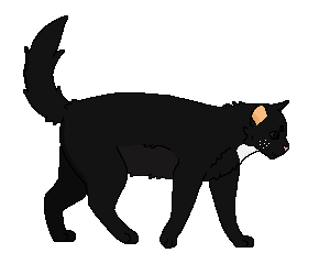 Void | OC Wojownicy Wiki | Fandom