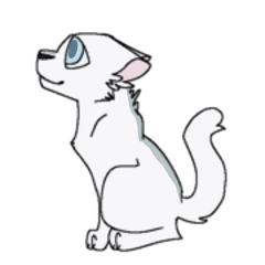 Smuga | OC Wojownicy Wiki | Fandom