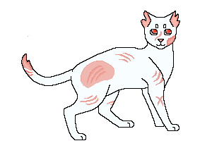 Klara 2 | OC Wojownicy Wiki | Fandom