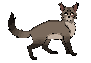 Kinito | OC Wojownicy Wiki | Fandom