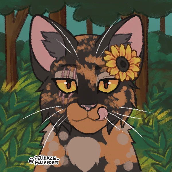 Ciemna Stopa 2 | OC Wojownicy Wiki | Fandom