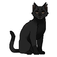 Wampir | OC Wojownicy Wiki | Fandom