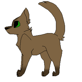 Sowi Lot 2 | OC Wojownicy Wiki | Fandom