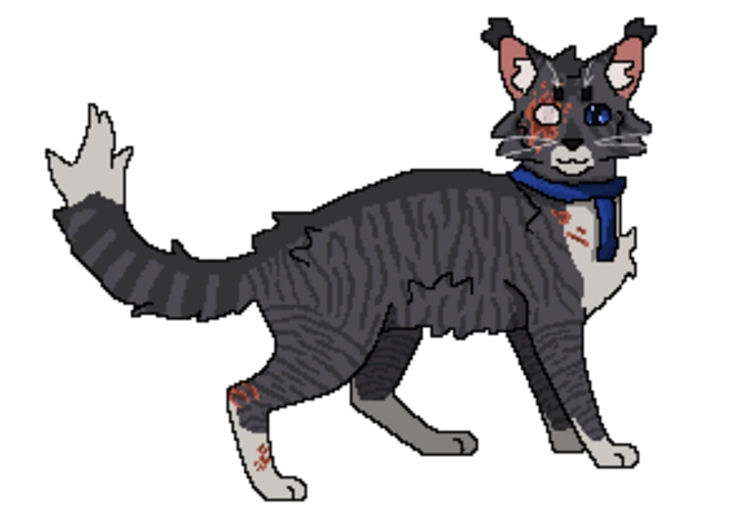 Xavier | OC Wojownicy Wiki | Fandom