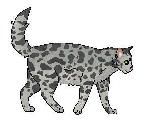 Mglisty Ogon | OC Wojownicy Wiki | Fandom