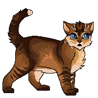 Fircyk | OC Wojownicy Wiki | Fandom