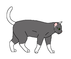 Sowi Pazur | OC Wojownicy Wiki | Fandom