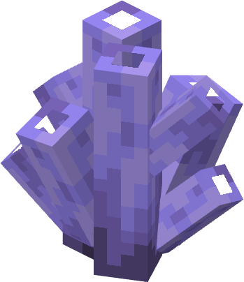 Super Sponge | Ocean Biomes Wiki | Fandom