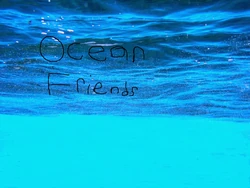 Season 1 | Ocean friends Wiki | Fandom
