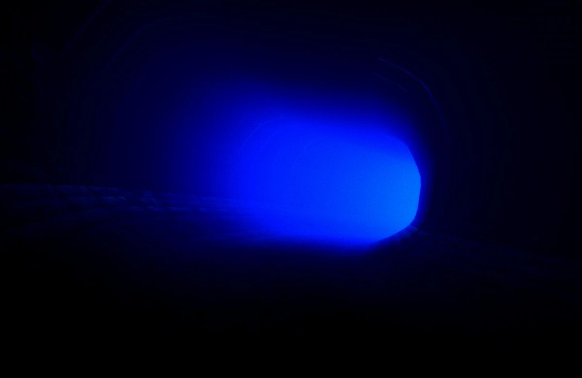 GoodPuffer's Trip | Ocean Terror Roblox Wiki | Fandom