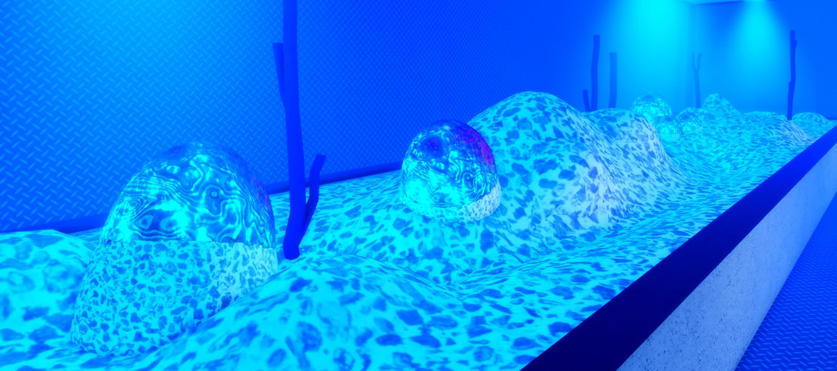 New Sector | Ocean Terror Roblox Wiki | Fandom