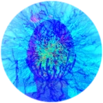 Badges | Ocean Terror Roblox Wiki | Fandom