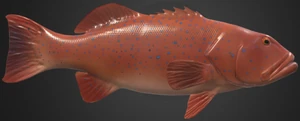 Future Remodels | Oceanic (ROBLOX) Wiki | Fandom