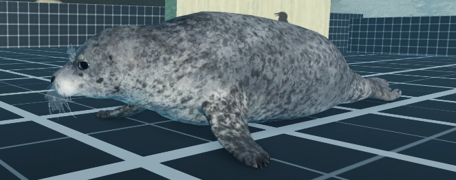 Harbour Seal | Oceanic (ROBLOX) Wiki | Fandom