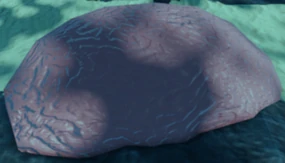 Brain Coral | Oceanic (ROBLOX) Wiki | Fandom