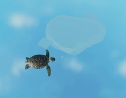 Testing 2 | Oceanic (ROBLOX) Wiki | Fandom