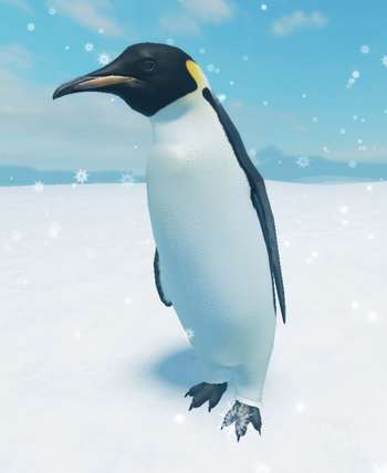 Emperor Penguin | Oceanic (ROBLOX) Wiki | Fandom
