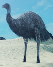 Emu | Oceanic (ROBLOX) Wiki | Fandom