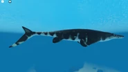Tylosaurus | Oceanic (ROBLOX) Wiki | Fandom