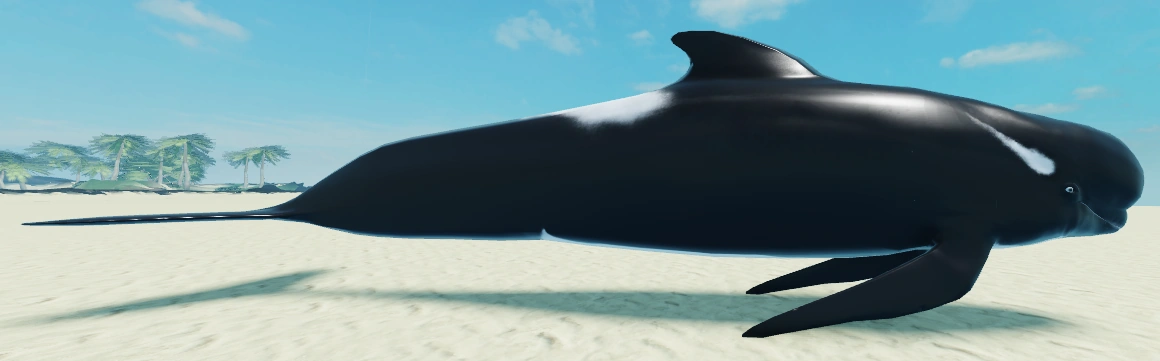 Long-Finned Pilot Whale | Oceanic (ROBLOX) Wiki | Fandom