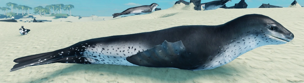 Leopard Seal | Oceanic (ROBLOX) Wiki | Fandom