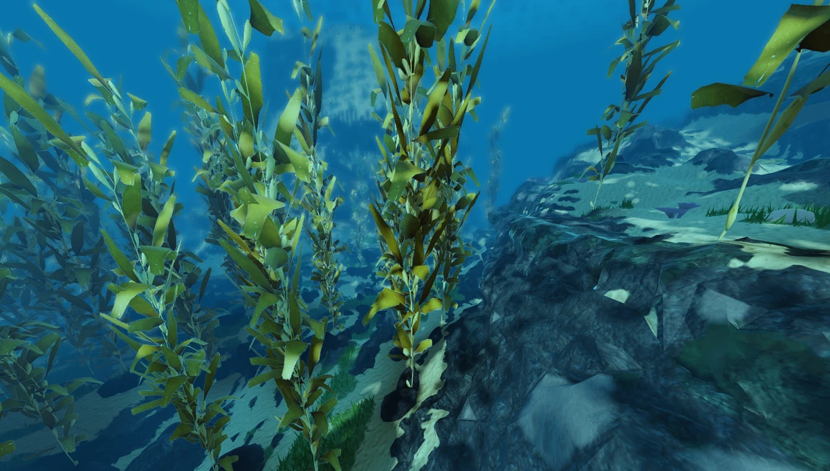 Kelp Forest | Oceanic (ROBLOX) Wiki | Fandom