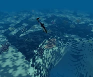 Testing 2 | Oceanic (ROBLOX) Wiki | Fandom