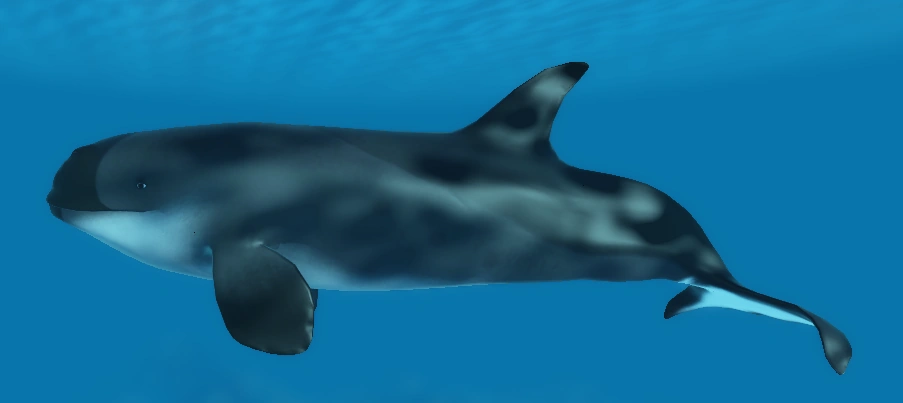 Brygmophyseter | Oceanic (ROBLOX) Wiki | Fandom