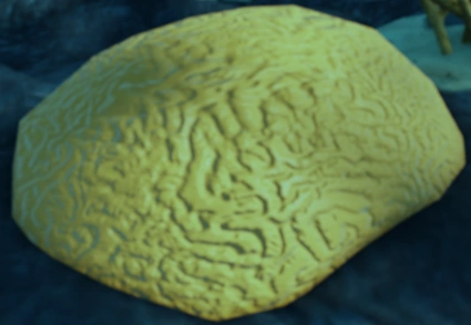 Brain Coral | Oceanic (ROBLOX) Wiki | Fandom