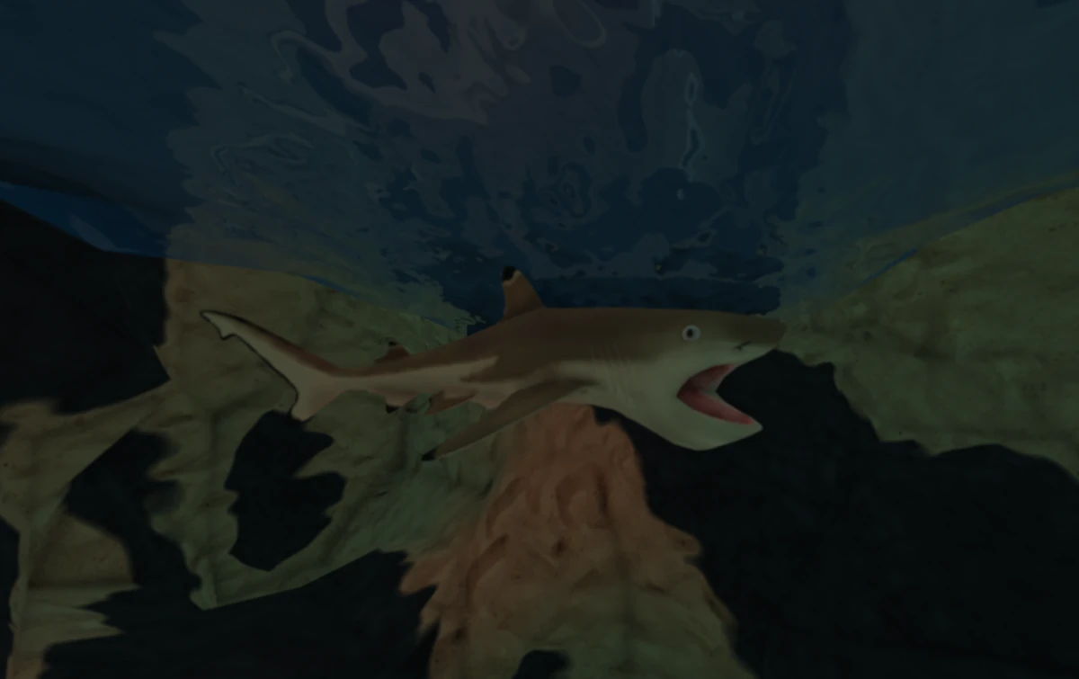 Sharking's Lair | Oceanic (ROBLOX) Wiki | Fandom