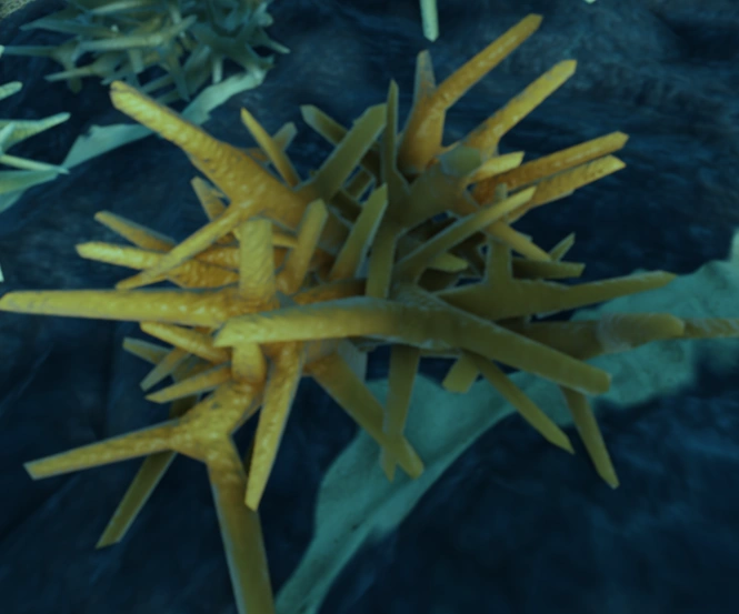 Horn Coral | Oceanic (ROBLOX) Wiki | Fandom