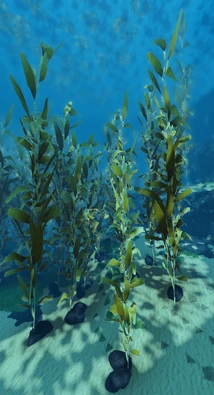 Brown Algae | Oceanic (ROBLOX) Wiki | Fandom