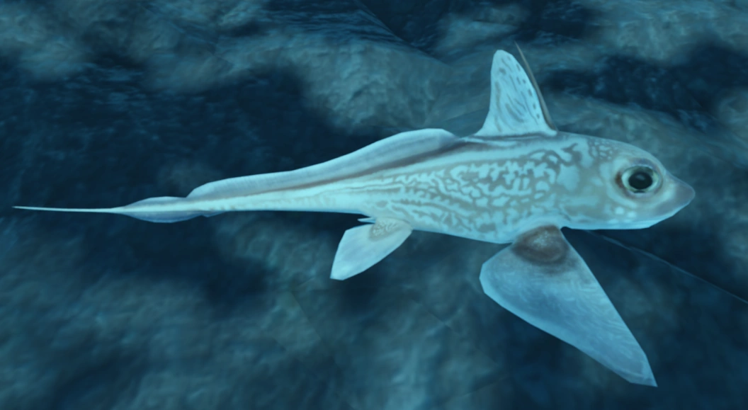 Rabbitfish | Oceanic (ROBLOX) Wiki | Fandom