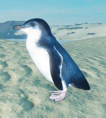 Fairy Penguin | Oceanic (ROBLOX) Wiki | Fandom