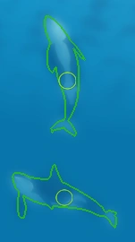 Electroreception | Oceanic (ROBLOX) Wiki | Fandom