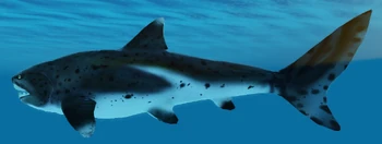 Dunkleosteus | Oceanic (ROBLOX) Wiki | Fandom