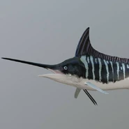 Upcoming Animals | Oceanic (ROBLOX) Wiki | Fandom