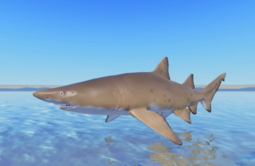 Sandtiger Shark | Oceanic (ROBLOX) Wiki | Fandom