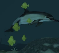 Testing 1 | Oceanic (ROBLOX) Wiki | Fandom