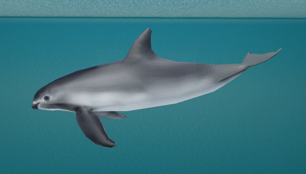 Testing 1 | Oceanic (ROBLOX) Wiki | Fandom