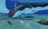 Flying vertical coral | Oceanic (ROBLOX) Wiki | Fandom