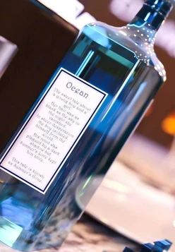 Where It All Began | Oceanverse Wiki | Fandom