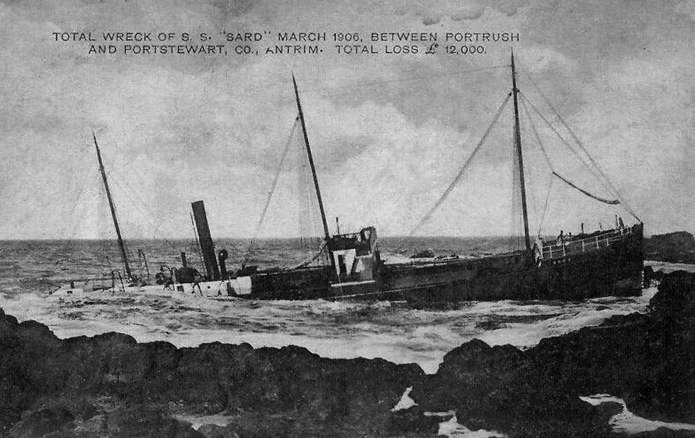 SS Sard (1889) | Maritime Enyclopedia | Fandom