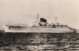 SS Antilles | Maritime Enyclopedia | Fandom